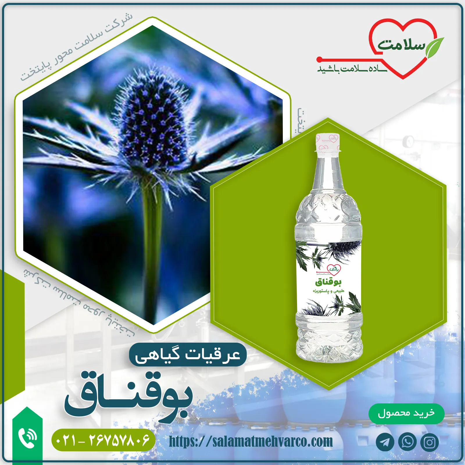 عرق گیاهی بوقناق کاملاً طبیعی و 100% خالص و باکیفیت بالا