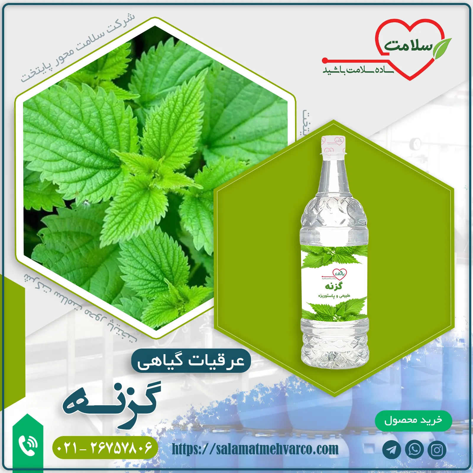 عرق گیاهی گزنه کاملاً طبیعی و 100% خالص و باکیفیت بالا